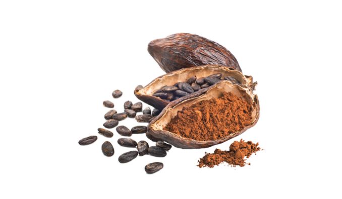 organic_cocoa_20_22_percent_fat_Core-Product-Image-Template_wide – The ...